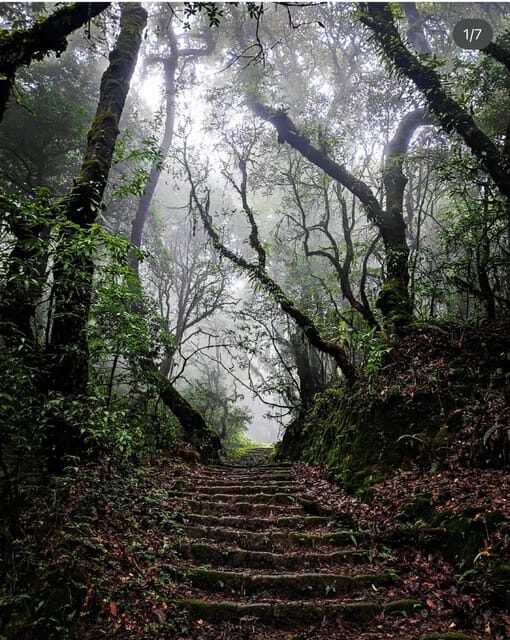 Kathmandu: Jamacho( Nagarjung Danda) Day Hike - The Experience Provider: Treklanders