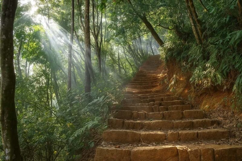 Kathmandu: Jamacho Peak Hike with Local Guide & Meal - Key Points