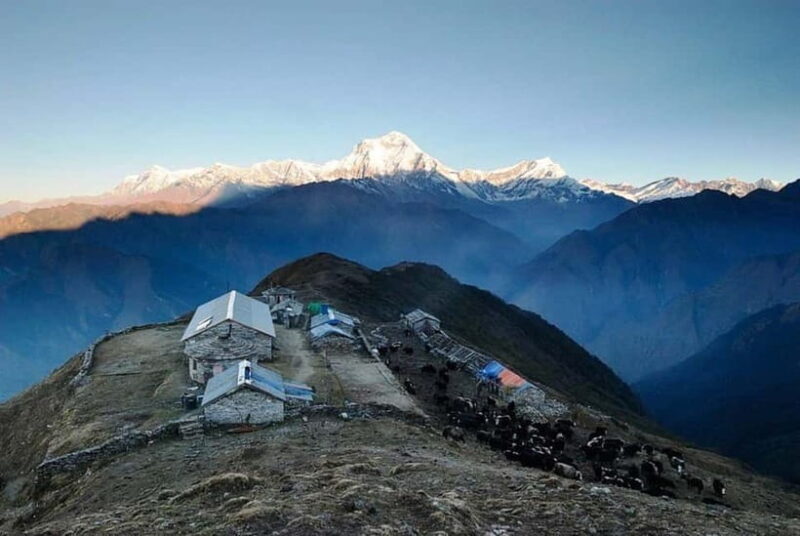 Kathmandu: Khopra Ridge Trek with Panoramic Views - Whats Included? The Value of Your Trip