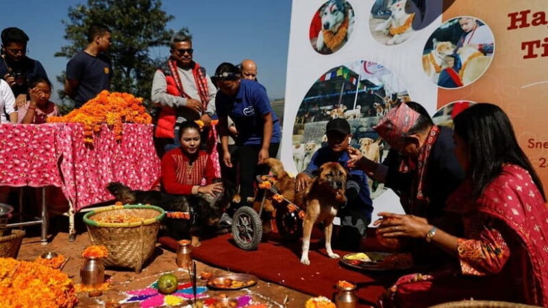 Kathmandu: Kukur Tihar Festival Tour with Local Family - Practical Tips for Participants