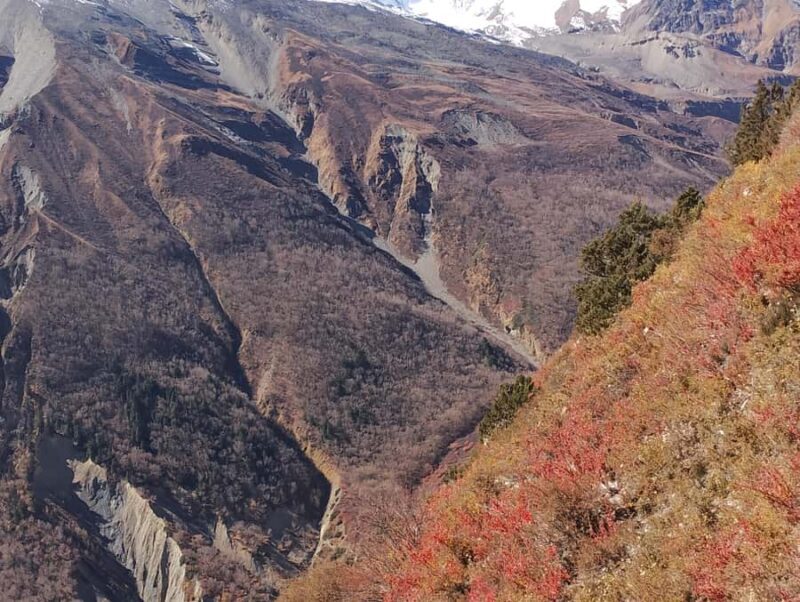 Kathmandu: Manang Scenic Jeep Tour Remote Himalaya in 6 Days - Transportation and Comfort