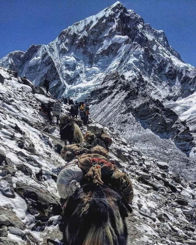 Kathmandu: Manaslu Circuit Trek 14 Day Guided Tour - Practical Considerations