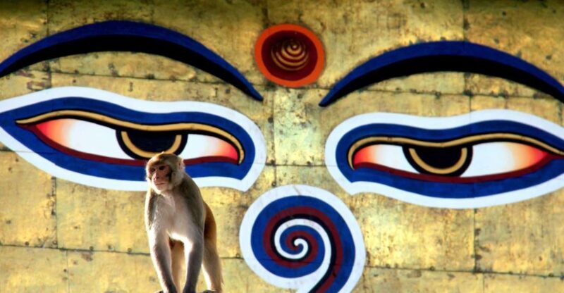 Kathmandu: Monkey Temple and Chandragiri Cable Car Ride Tour - An In-Depth Look at the Tour