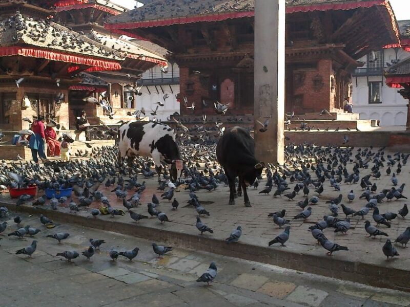 Kathmandu: Monkey Temple and Chandragiri Cable Car Ride Tour - Final Thoughts: Is This Tour for You?