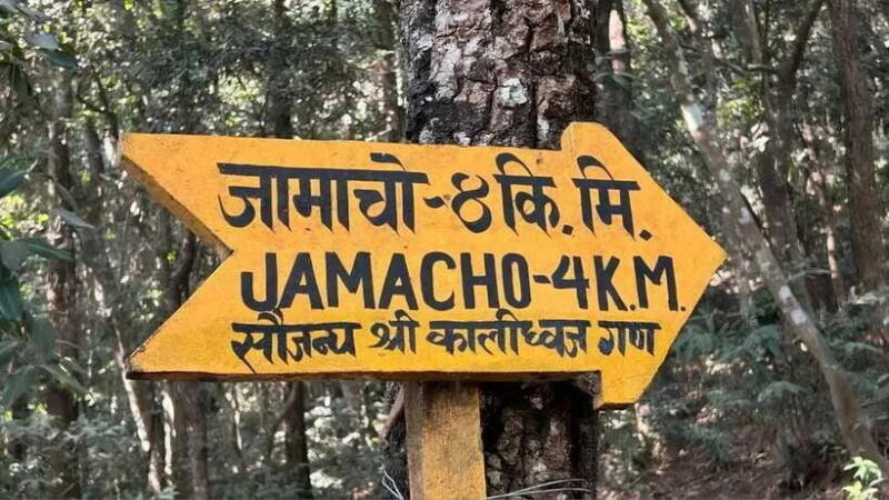 Kathmandu: Nagarjun Jamacho Hiking 2130m with Pickup & Drop - Who Should Consider This Tour?
