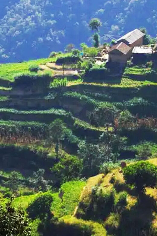 Kathmandu: Nagarkot Sunrise View Tour and Hike Changunarayan - Who Is This Tour Best For?