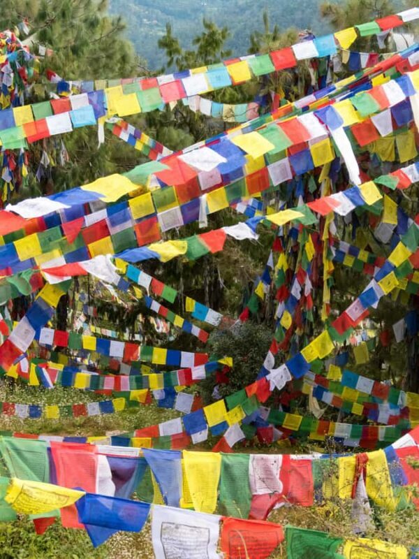 Kathmandu: Namobuddha Day Hike with Monastery Visit - Who Will Love This Experience?