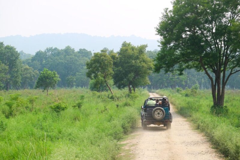 Kathmandu/Pokhara: 2-Day Chitwan Safari Private Tour By Car - The Journey Begins: From City to Jungle