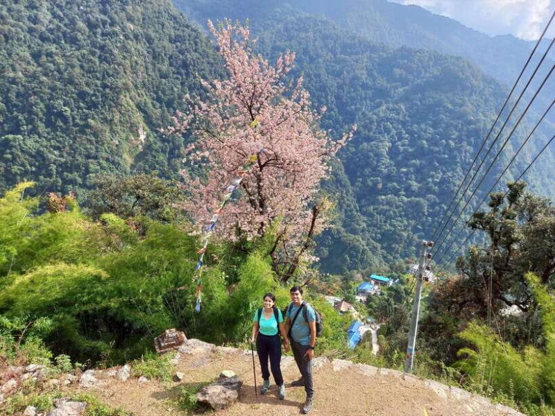 Kathmandu/Pokhara: 5-Day Annapurna Base Camp (ABC) Trek - The Realities to Consider