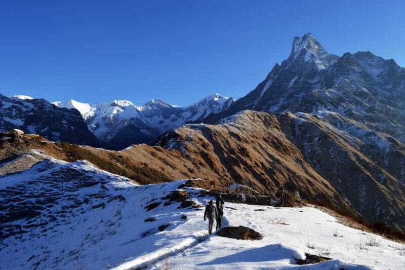 Kathmandu/Pokhara: 5-Day Mardi Base Camp (MBC) Trek - Is This Trek Right for You?