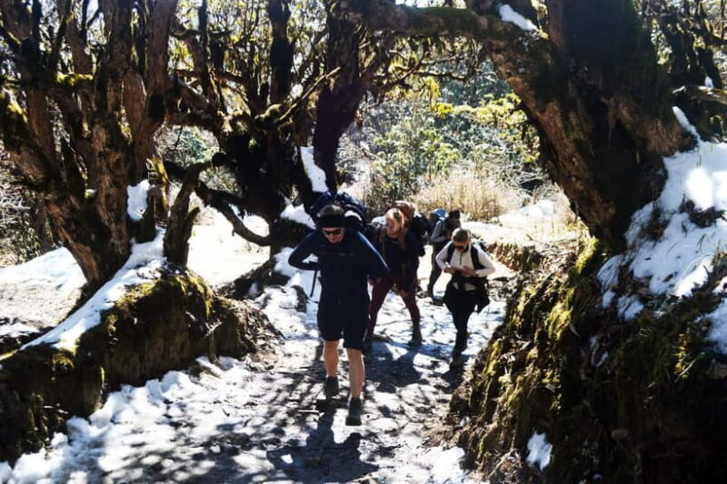 Kathmandu/Pokhara: 5-Day Mardi Base Camp (MBC) Trek - FAQ About the Mardi Base Camp Trek