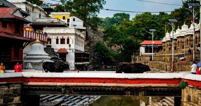 Kathmandu: Private Cultural and Heritage Day Tour - What You Can Expect from This Tour