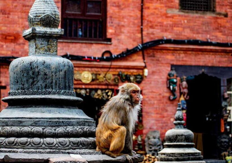 Kathmandu: Private Cultural and Heritage Day Tour - Final Thoughts