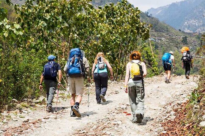 Kathmandu Private Tour: Day Hiking to Shivapuri - A Practical, Balanced Look at the Shivapuri Day Hike