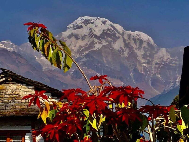Kathmandu: Rapid Ghorepani Poon Hill Trek with Guide - An Engaging Intro to Nepal’s Iconic Trek