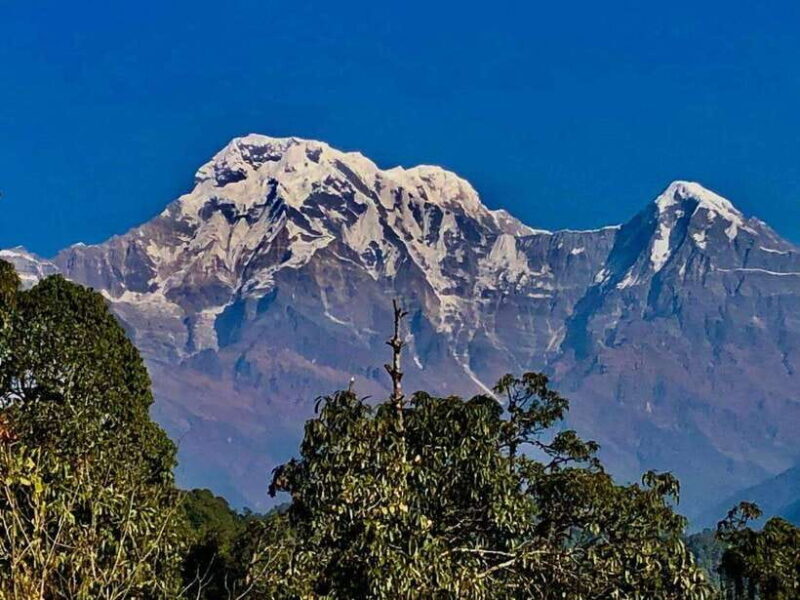 Kathmandu: Rapid Ghorepani Poon Hill Trek with Guide - The Value of the Tour