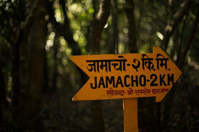 Kathmandu Shivapuri National Park and Nagarkot Hiking - 3 Days - Why This Tour Works