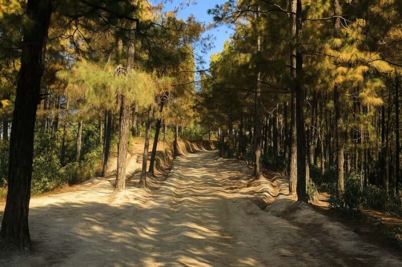 Kathmandu: Tarebhir, Nagi Gompa, & Budhanilkantha Day Hike - Who Will Appreciate This Hike?