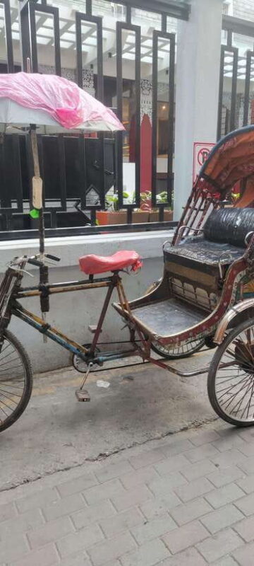 Kathmandu : Thamel and Newroad Rickshaw Tour With Guide - The Sum Up