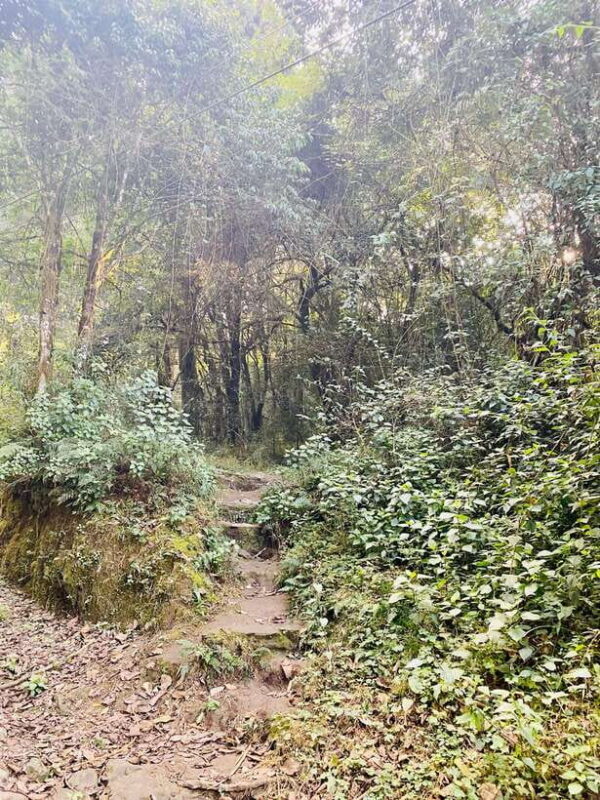 Kathmandu to Nagarkot Hike: Village Trails & Himalayan Views - Final Thoughts: Is It Worth It?