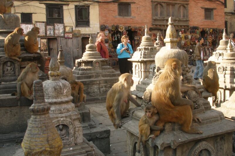Kathmandu Transit Tour | Transit tour in Kathmandu Nepal - What Travelers Say