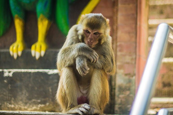 Kathmandu Valley trek with sightseeing - Why Travelers Love This Tour