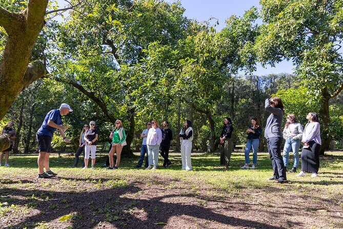 Katikati Gourmet Avocado Tasting - An In-Depth Look at What You Can Expect