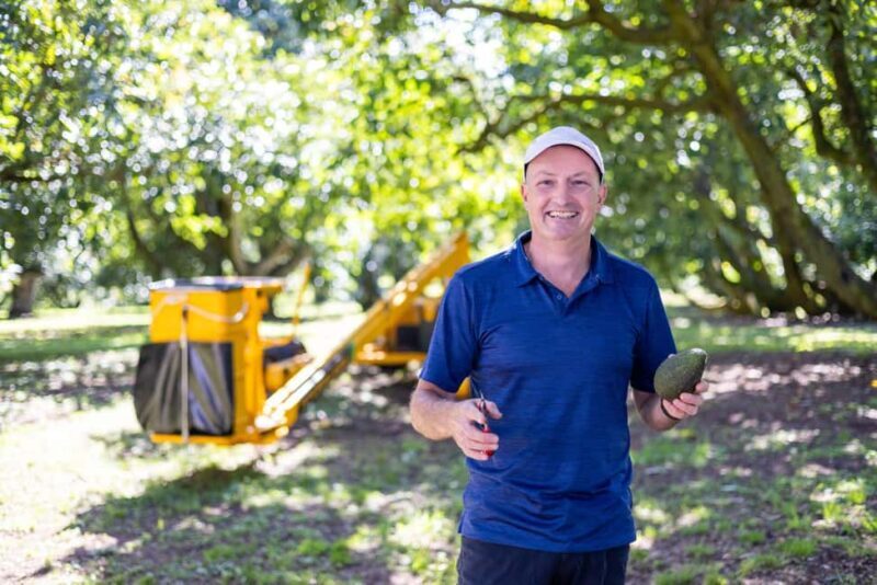 Katikati: Guided Gourmet Avocado Tour - An Honest Look at the Guided Gourmet Avocado Tour