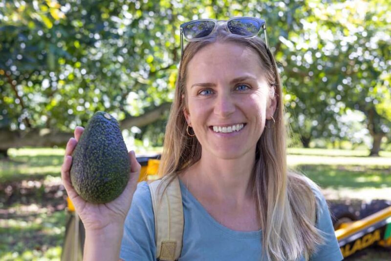 Katikati: Guided Gourmet Avocado Tour - Final Thoughts