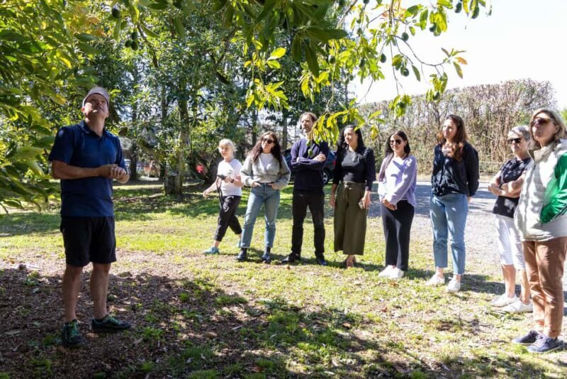 Katikati: Guided Gourmet Avocado Tour - FAQ
