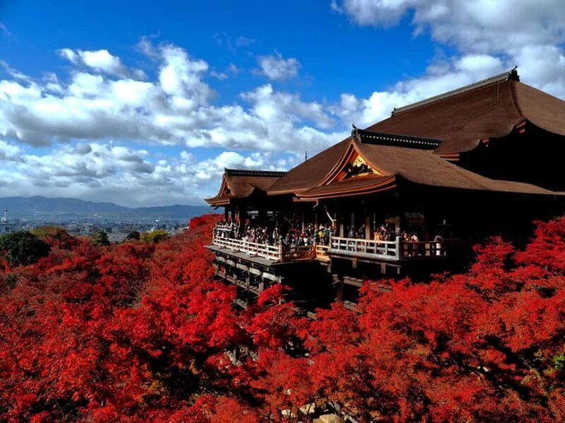 Katsuo-ji, Kyoto Kiyomizu-dera & Arashiyama Tour w/tea opt. - An In-Depth Look at the Tour