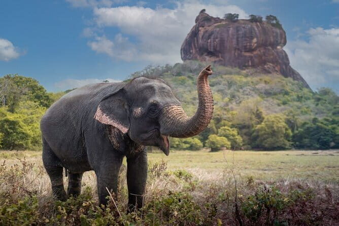 Katunayaka Airport to Kandy and Nuwaraeliya 2 Days - Final Thoughts