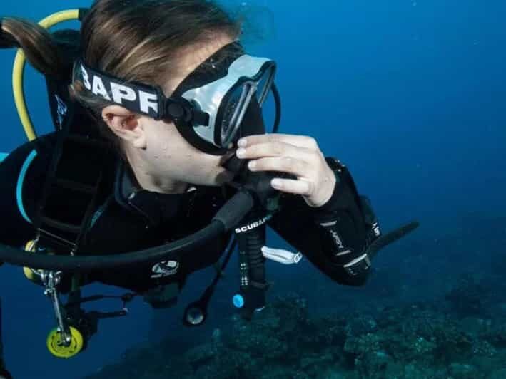 Kauai: 3-Tank Boat Dive for Certified Divers - Setting the Scene: Small Group, Big Adventure