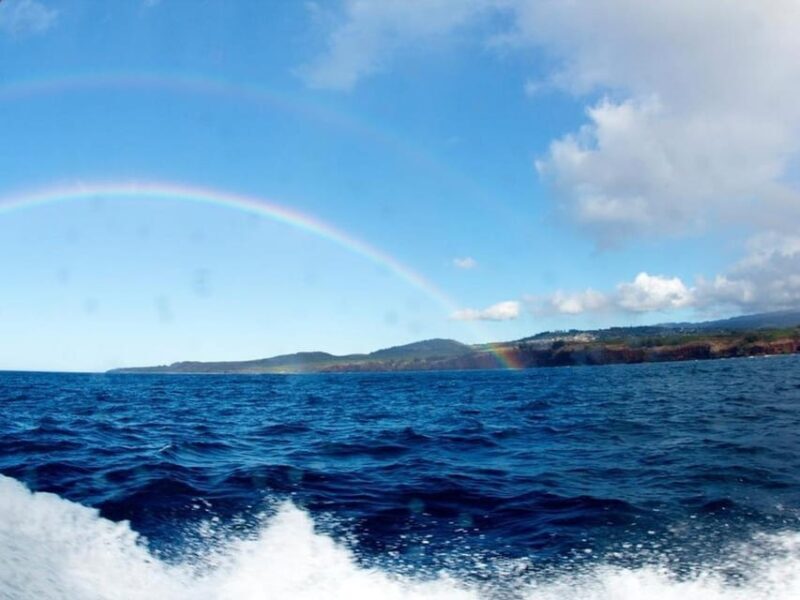 Kauai: 3-Tank Boat Dive for Certified Divers - Equipment and Extras: What’s Included — and What’s Not