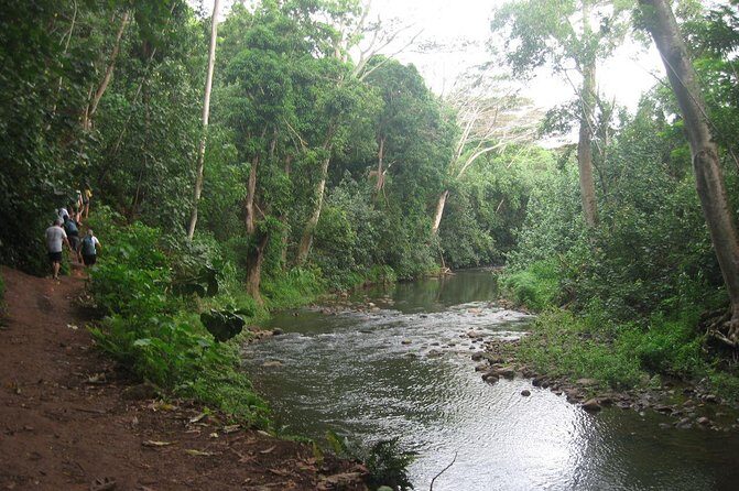 Kauai Adventure: Kayak & Hike to Secret Falls with Expert Guide - What Does the Tour Include?