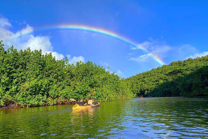Kauai Adventure: Kayak & Hike to Secret Falls with Expert Guide - Authenticity and Education