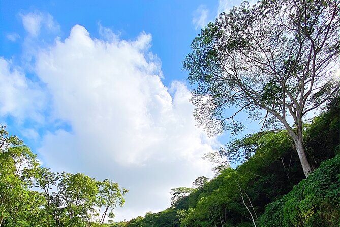 Kauai Adventure: Kayak & Hike to Secret Falls with Expert Guide - Value for Money