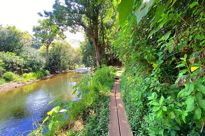 Kauai Adventure: Kayak & Hike to Secret Falls with Expert Guide - Considerations for Travelers