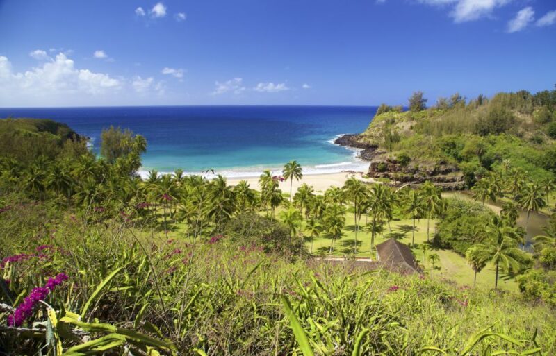 Kauai: Allerton Garden Guided Group Walking Tour - A Detailed Look at the Allerton Garden Guided Tour