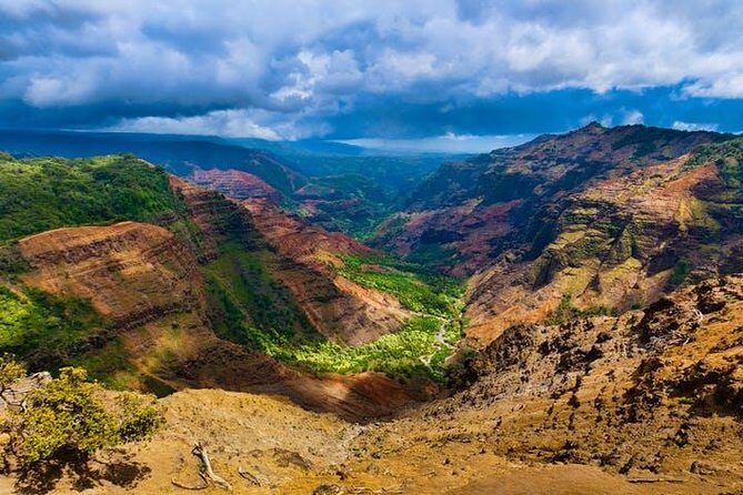 Kauai Cruise Ship Shore Excursion Journey to Waimea Canyon - The Considerations