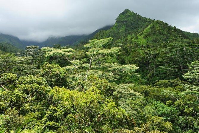 Kauai Cruise Ship Shore Excursion Journey to Waimea Canyon - Who Should Consider This Tour?