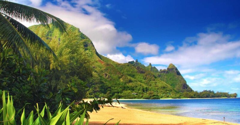 Kauai: Customized Luxury Private Tour - Key Points