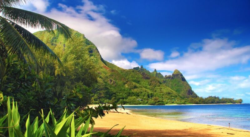 Kauai: Customized Luxury Private Tour - The Itinerary Choices: North/East or South/West