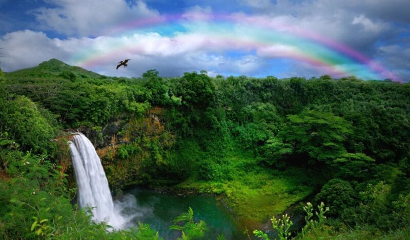 Kauai: Customized Luxury Private Tour - Practical Details and Value