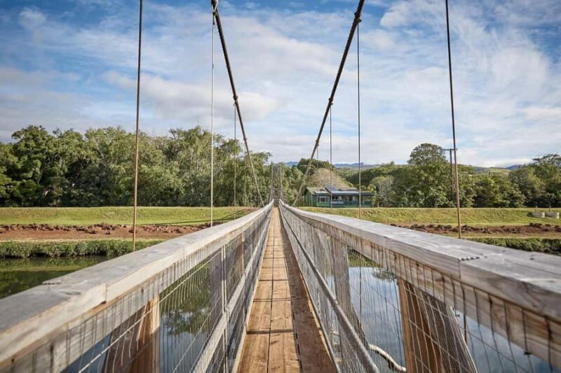 Kauai Day-Tour: Kalalau, Waimea, Poipu, Cruise or Airport PU - An In-Depth Look at the Kauai Day Tour