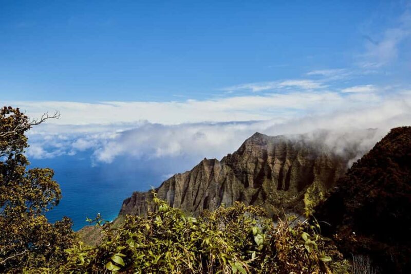 Kauai Day-Tour: Kalalau, Waimea, Poipu, Cruise or Airport PU - Who Should Consider This Tour?