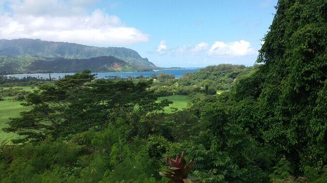 Kauai East Side and North Shore Private Guided Tour - Exploring the Kauai East Side and North Shore Private Guided Tour