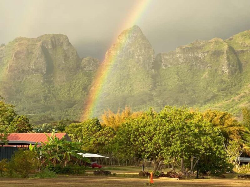 Kauai East Side and North Shore: Waterfalls & Beaches Tour - Who This Tour Is Best For