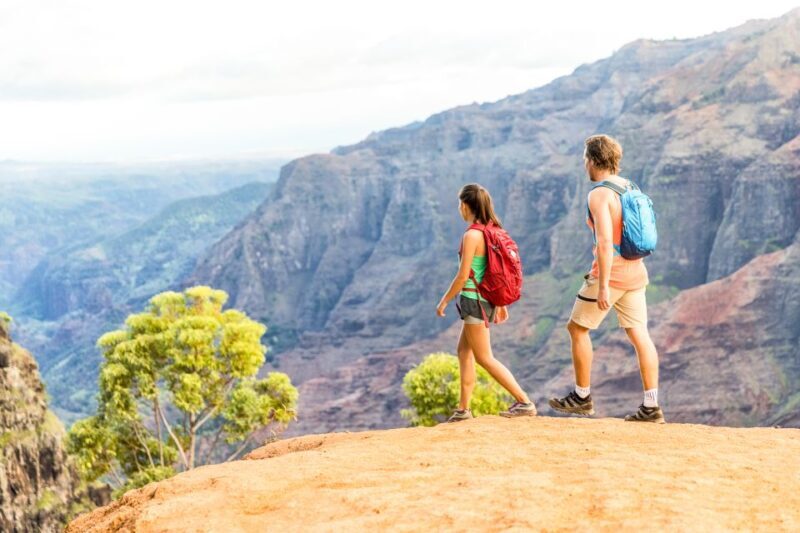 Kauai: Full-Day Waimea Canyon & Wailua River Tour - An In-Depth Look at the Tour Itinerary