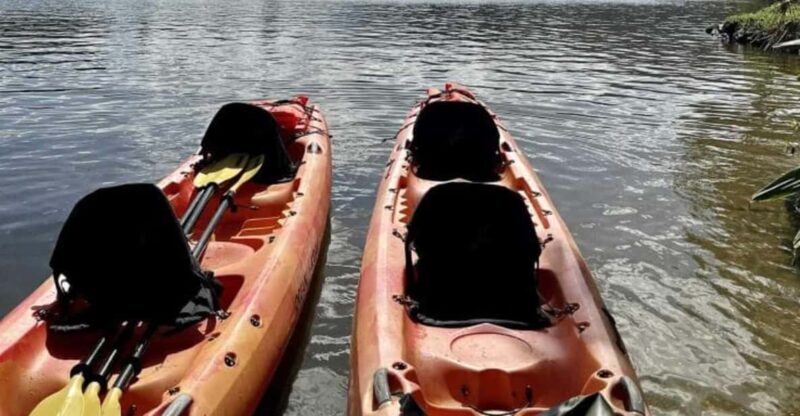 Kauai: Guided Kayak and Hike to Secret Falls - Key Points